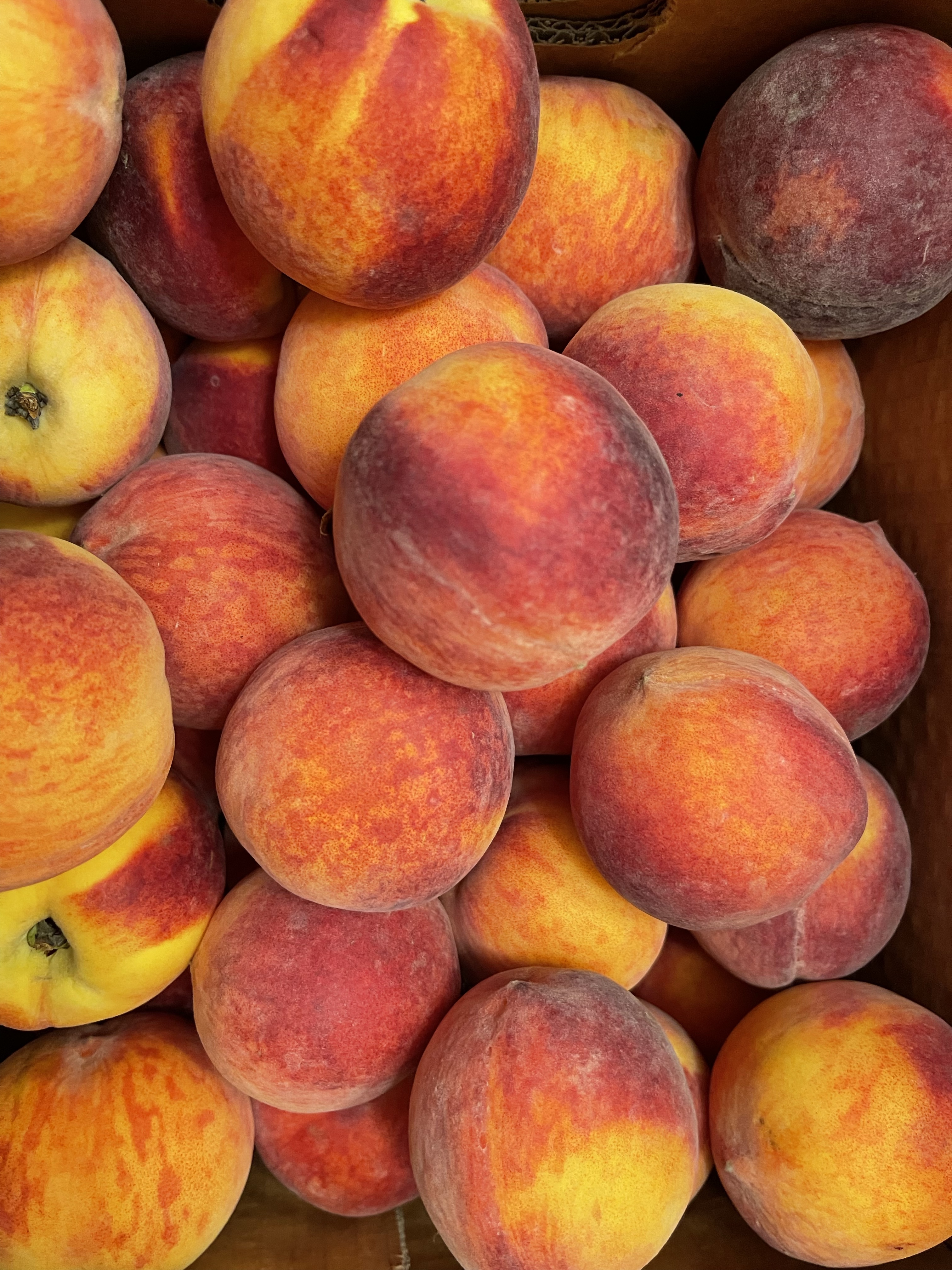 Canning My Favorite Peaches | A Healthier Me...Homesteading Simple & Clean