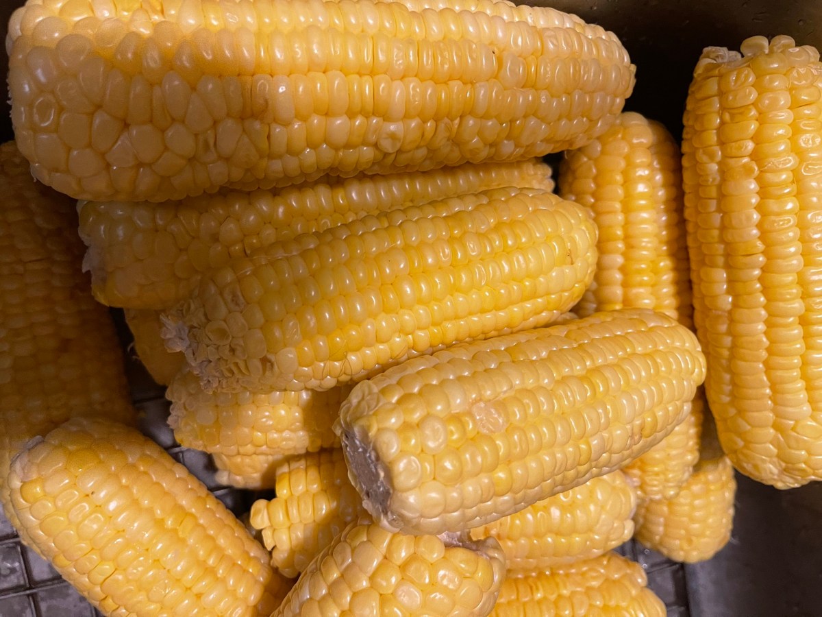 Preserving Corn Two Ways | A Healthier Me...Homesteading Simple & Clean
